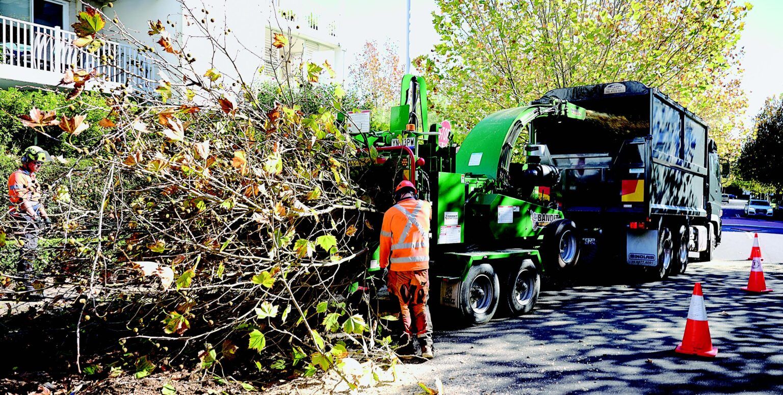 TreeLink featured in The Australian Arbor Age - Tree Link