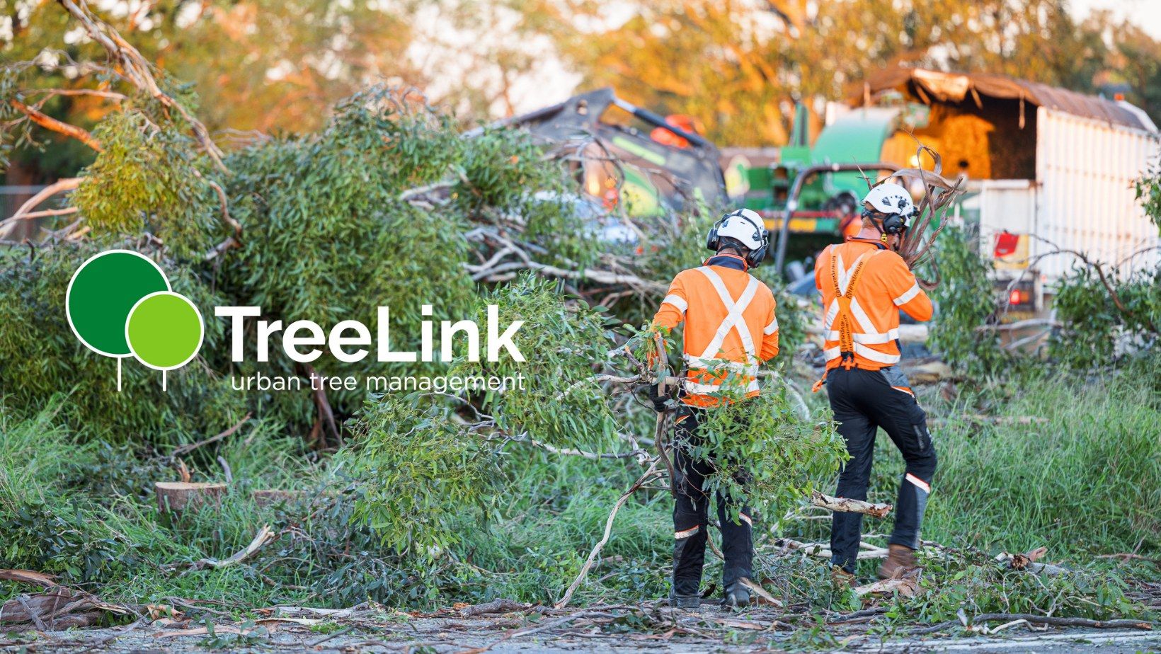 Tree Services by Treelink Pty Ltd | Leading Arborists in NSW