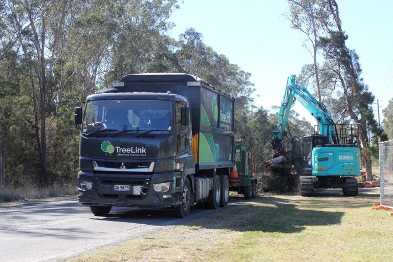 Commercial Tree Service | Treelink Arborist Solutions NSW